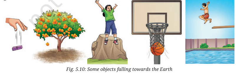 Curiosity Notes | Exploring Forces Class 8